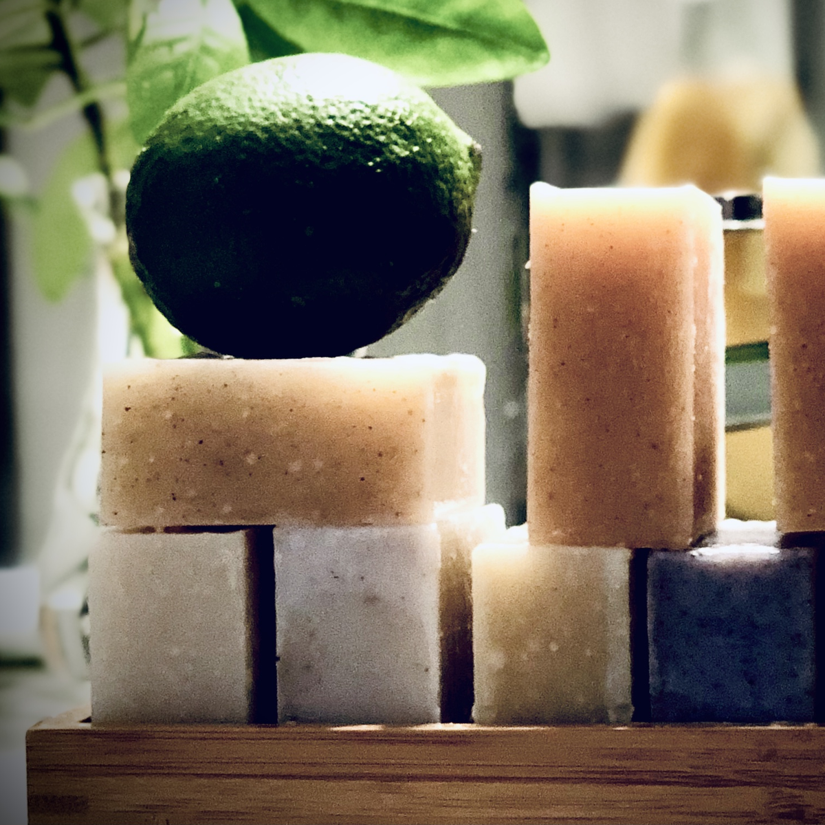 Handmade Soap Sets – Ethical CLARITY